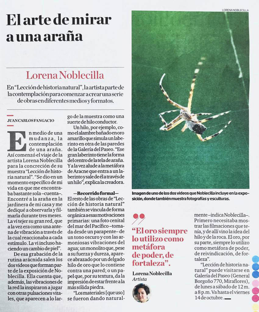 ENTREVISTA DEL COMERCIO SOBRE LA MUESTRA LECCIÓN DE HISTORIA NATURAL ...